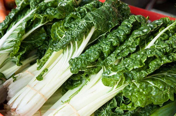 SILVERBEET BUNCH SPRAY FREE LOCAL