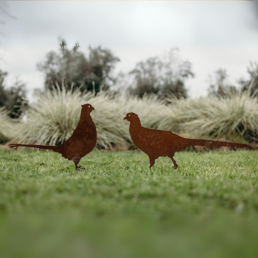 Rusty Deer Creations - Pheasants - Corten Steel Decor