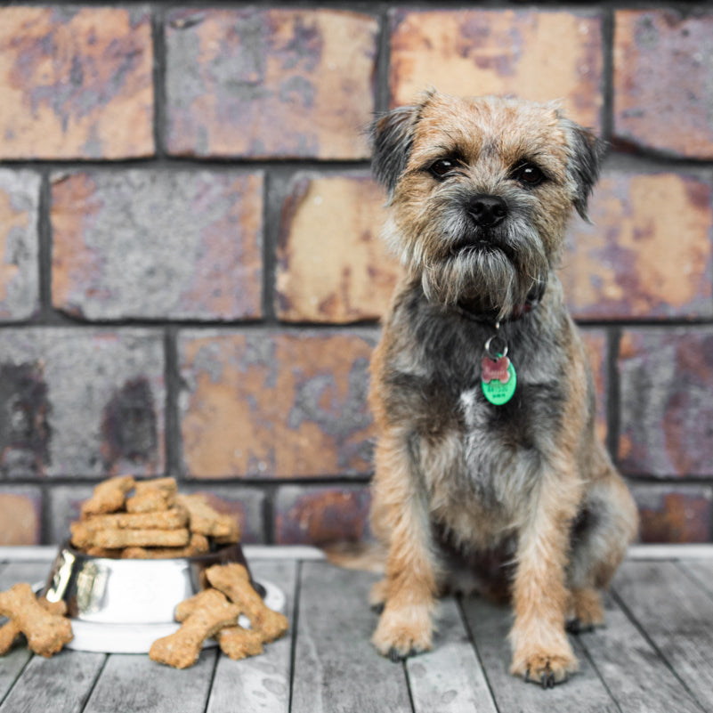 Easy bake dog biscuits baking mix | Lots of baking mixes