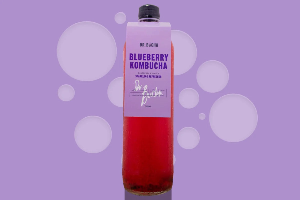 DR BUCHA KOMBUCHA BLUEBERRY & GINGER 750ML - Buy Online | Farm Fresh Direct