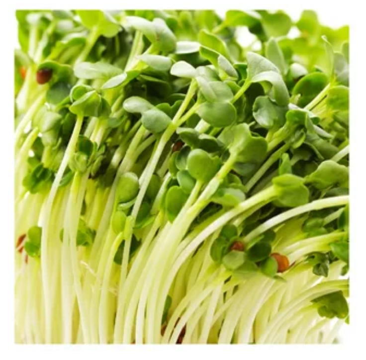 SUPER LITTLE GREENS RADISH SPROUTS 60G - Buy Online | Farm Fresh Direct
